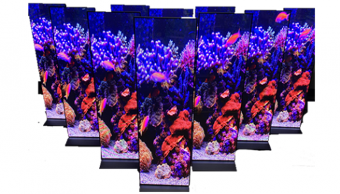 Theatrixx 2.5mm xVision Totem LED Poster Display - Nationwide Video